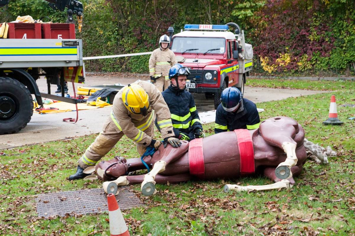 esfrs (11) – Welcome to the East Sussex Fire and Rescue History Website